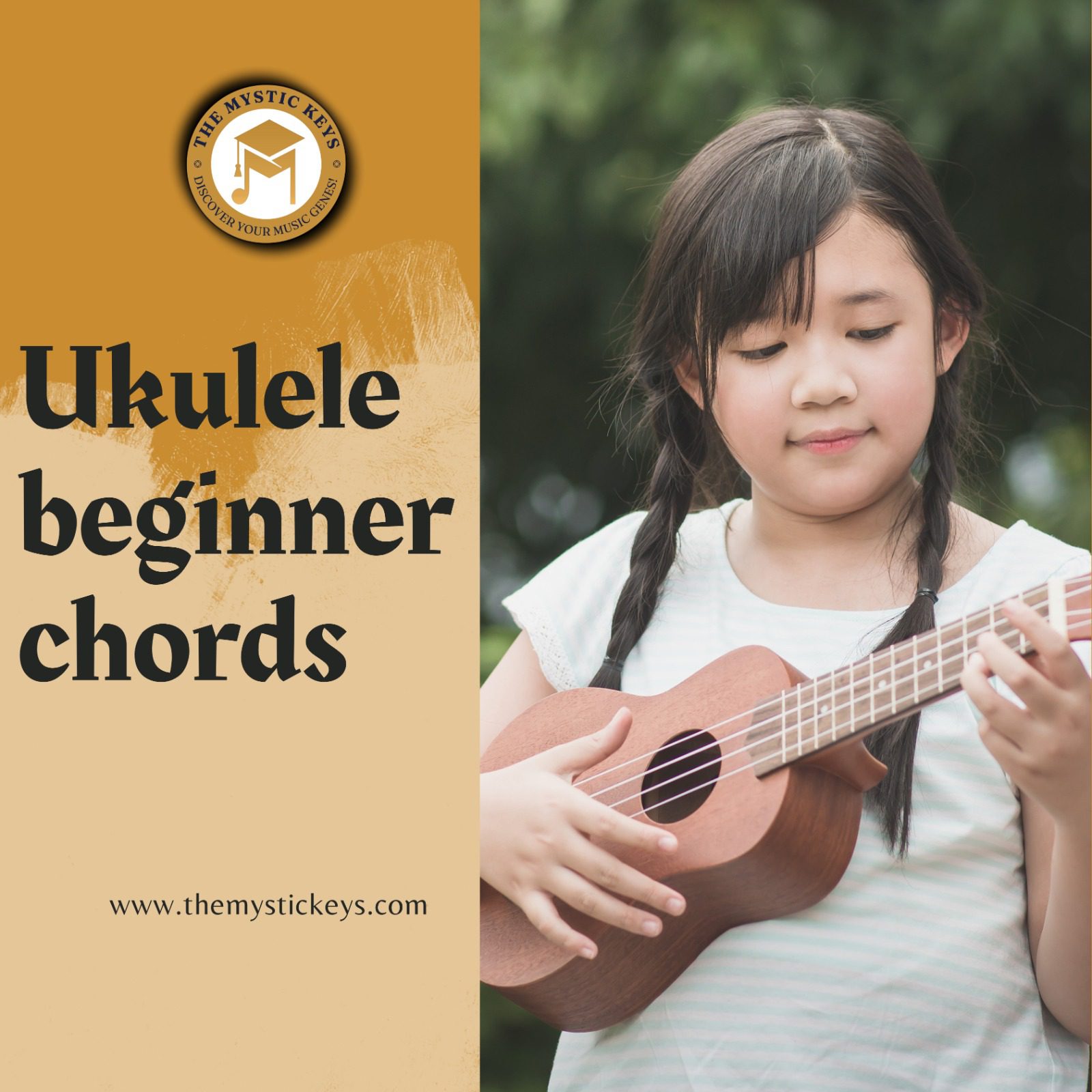 Ukulele Beginner Chords