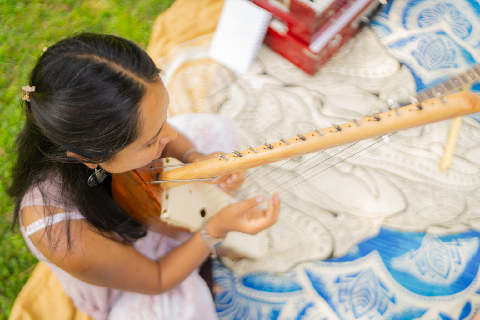 Learning Carnatic Music | From Beginners to Advanced